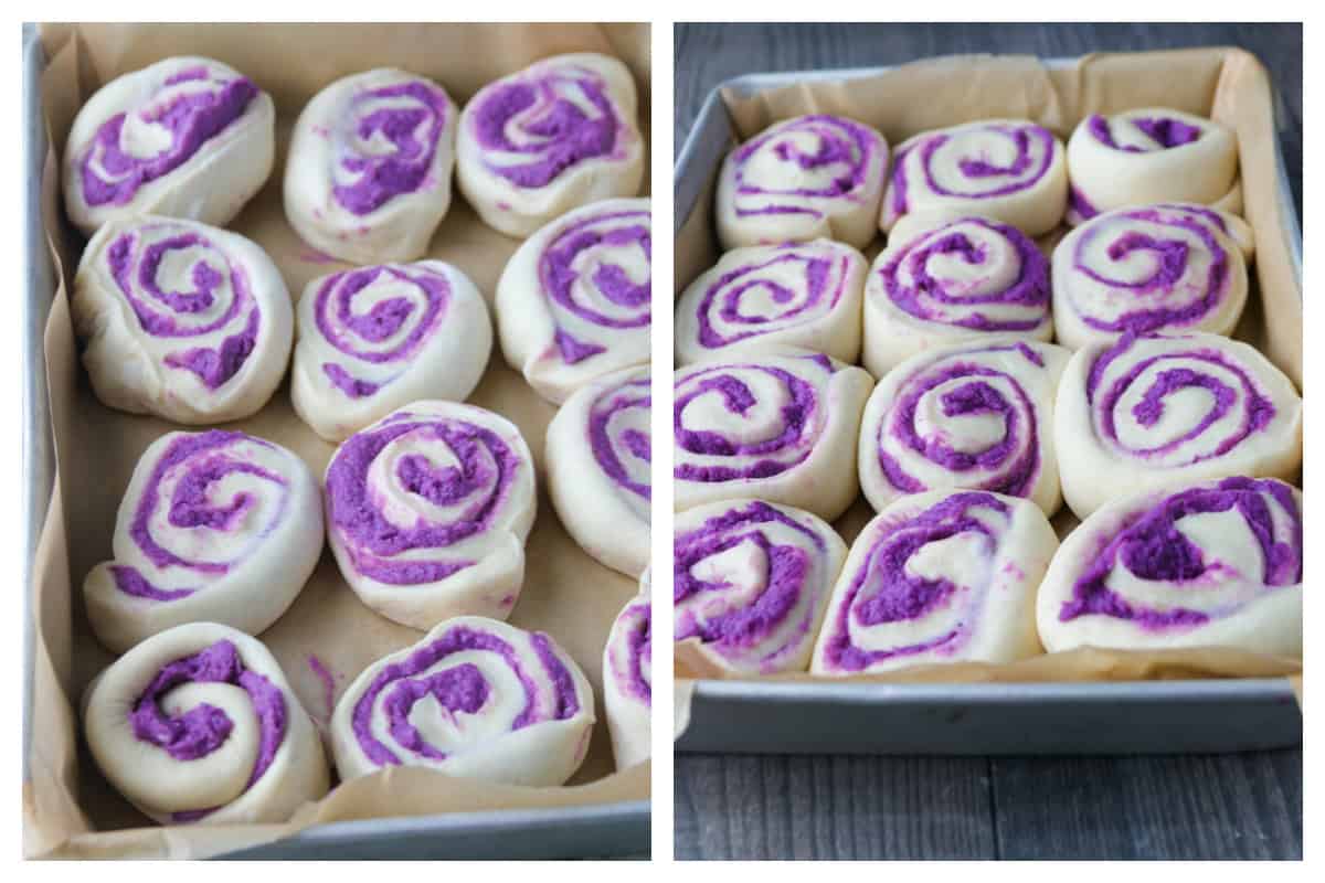 Ube (Purple Yam) Bread Rolls with Cream Cheese Frosting | Woman Scribbles