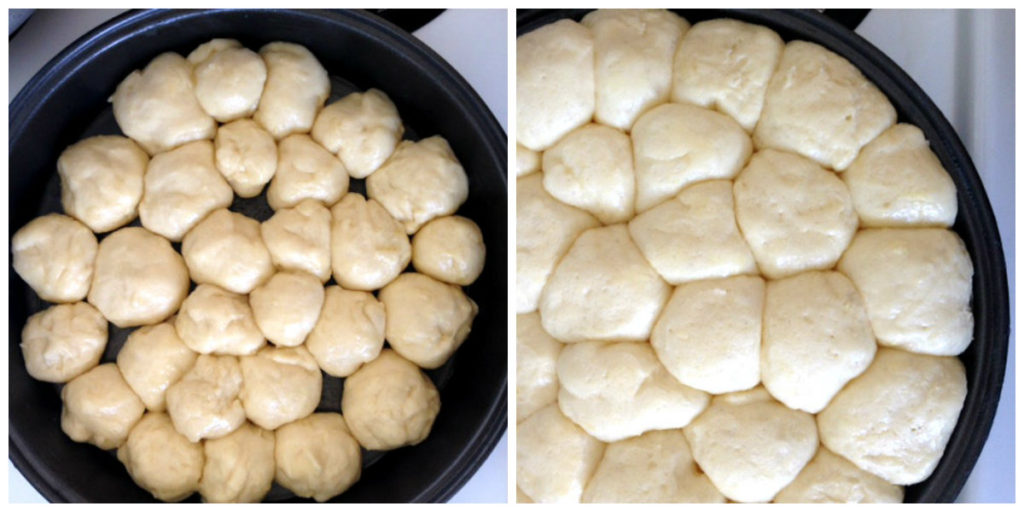 Austrian Buchteln ( Sweet Yeast Rolls) | Woman Scribbles