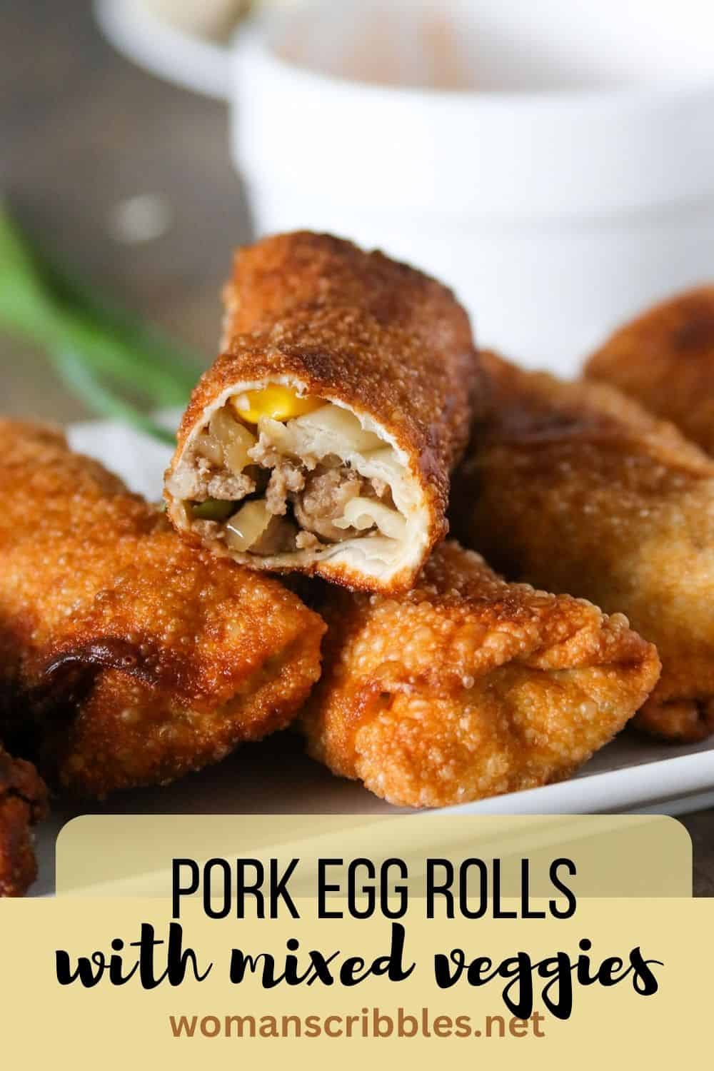 Pork Egg Rolls with Mixed Vegetables | Woman Scribbles