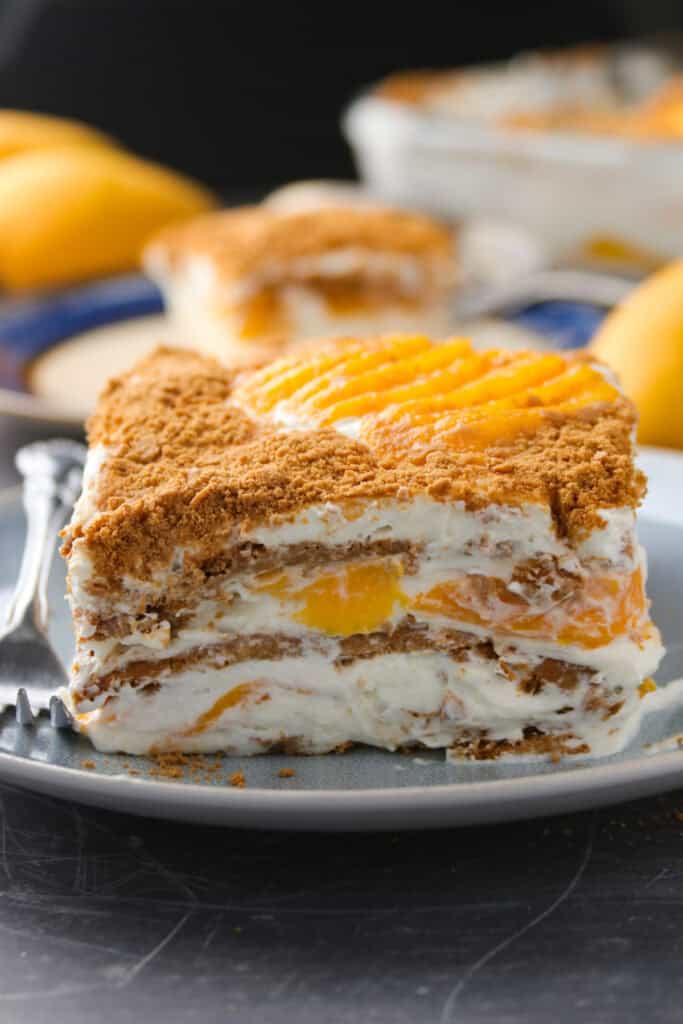 Mango Royale Recipe: Easy, Delicious, And No Bake | Woman Scribbles