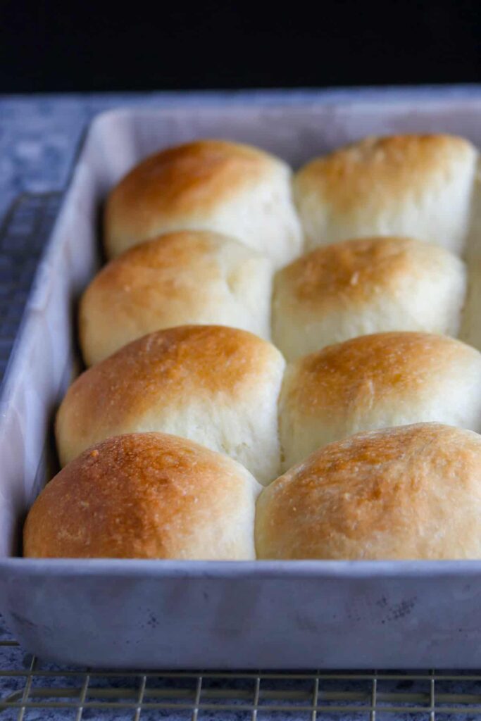 No Knead Bread Buns | Woman Scribbles